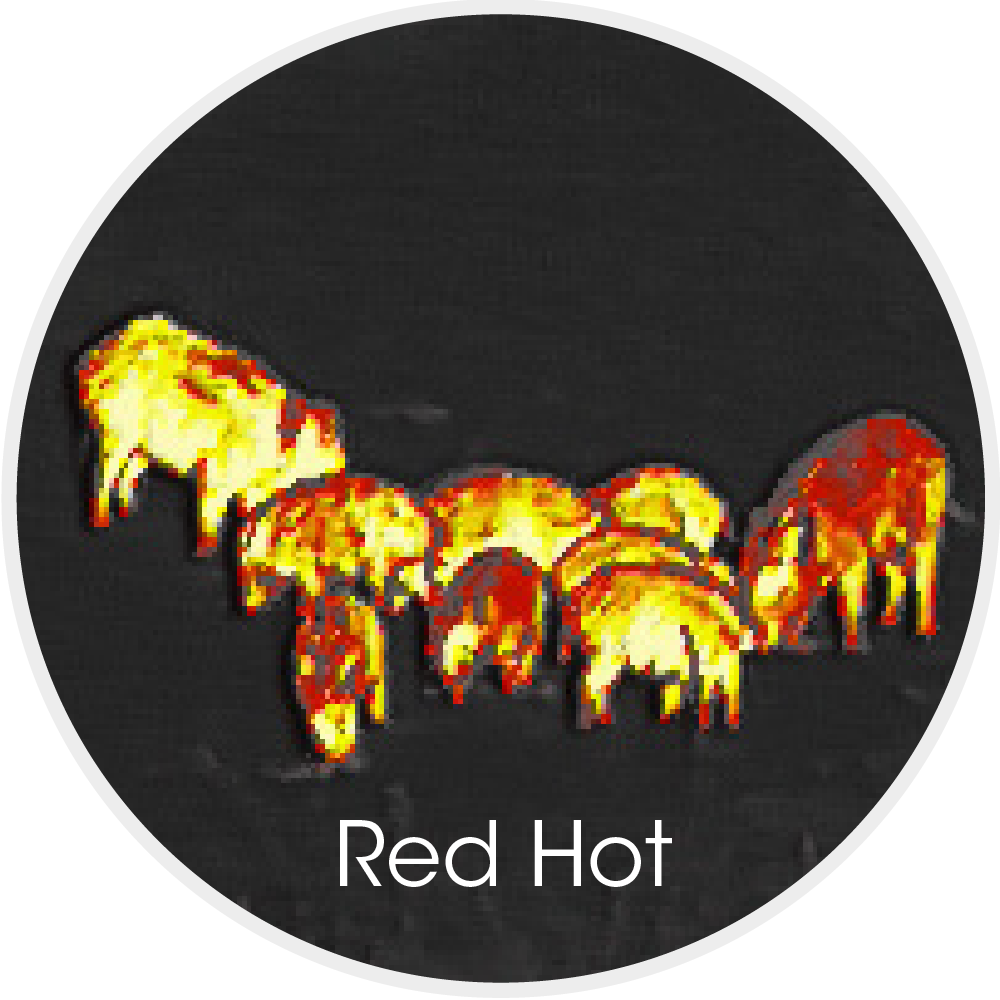 LIEMKE LUCHS-2 - Größe: LUCHS-2