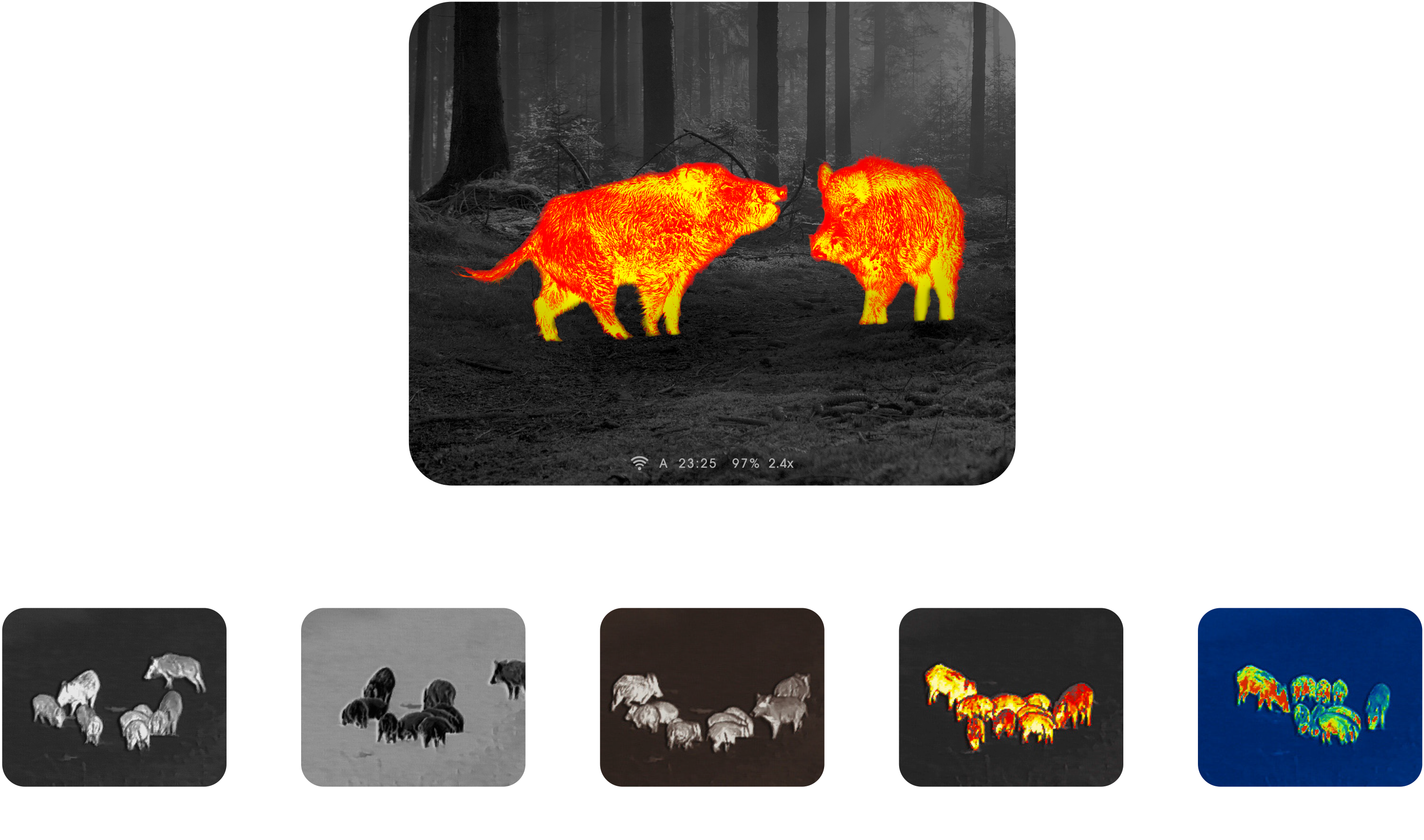 LIEMKE KEILER-2 | KEILER-2 | 80113545